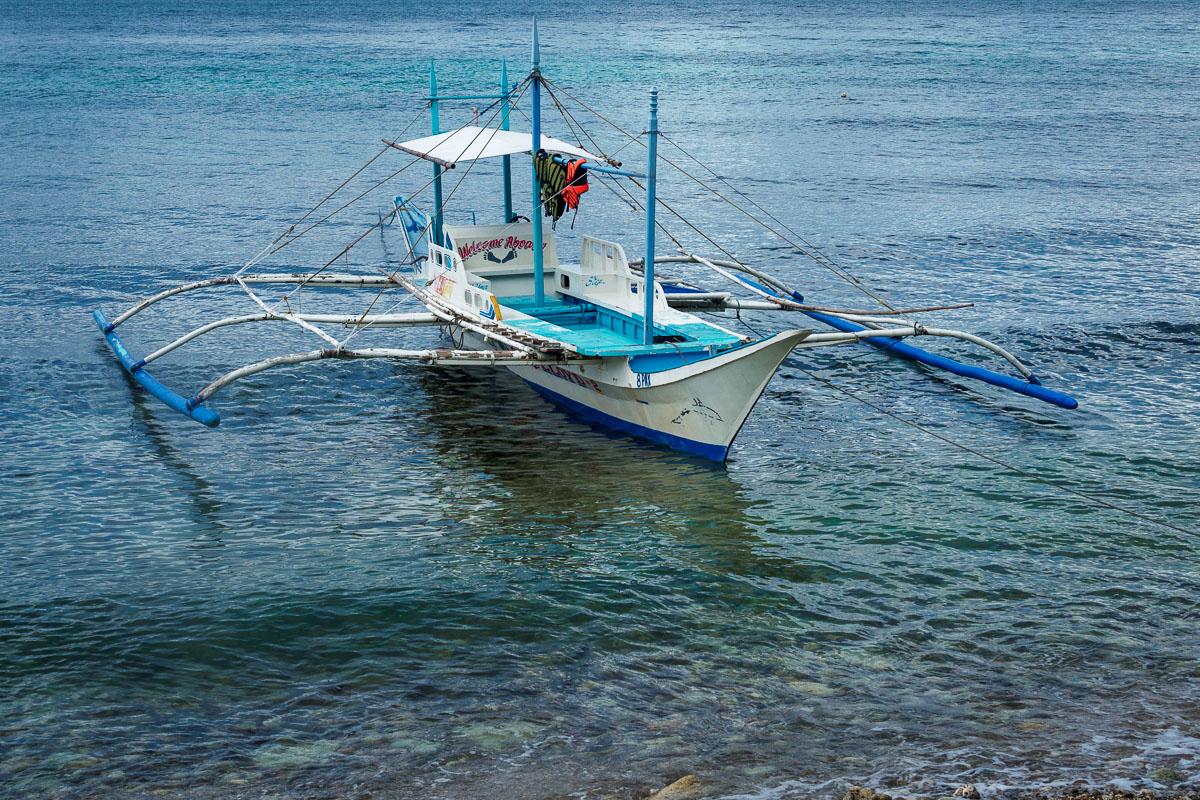 Fishes, critters and diving life in Carabao island | Vibrations